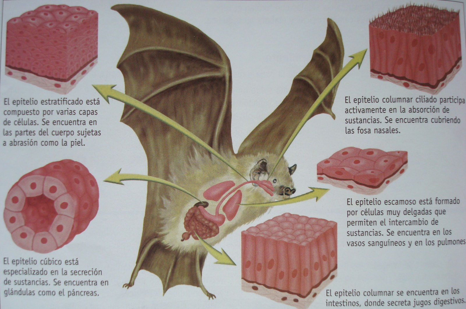 El blog de la ciencia