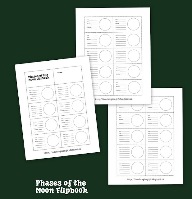 Teaching is a Gift: Saw it on Pinterest...Bought it at Dollar Tree ...