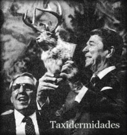 El "jackalope", "Wolpertinger" o lebrílope. | Taxidermidades