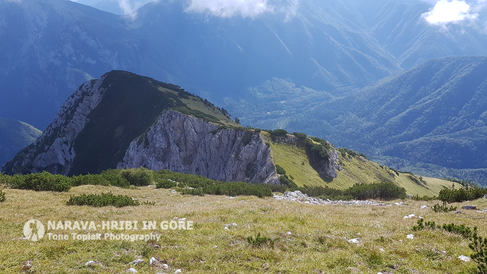 Narava hribi in gore: Košutna-Kompotela-Vrh Korena-Krvavec