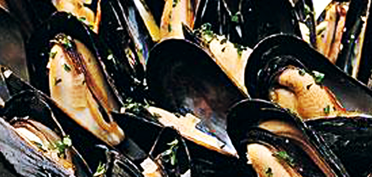 Cabine du Jardin deux: Brancaster Mussels