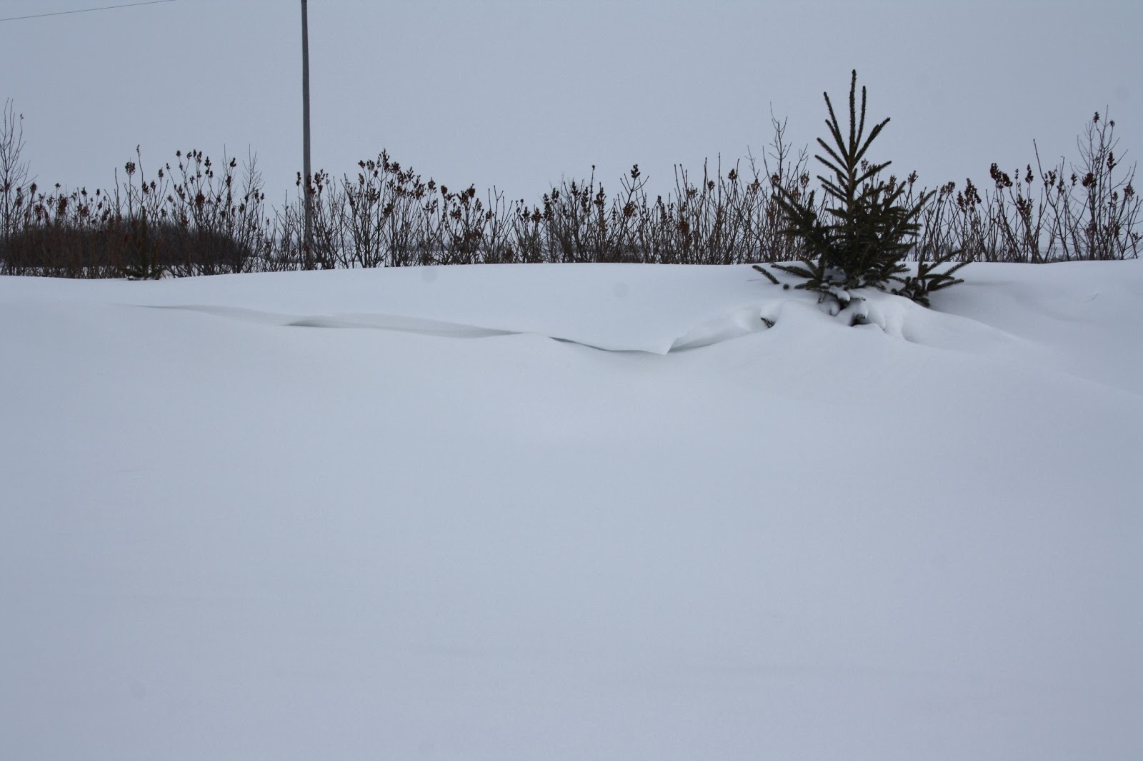 My Cup Runneth Over:Peters Family: Spring in Saskatchewan