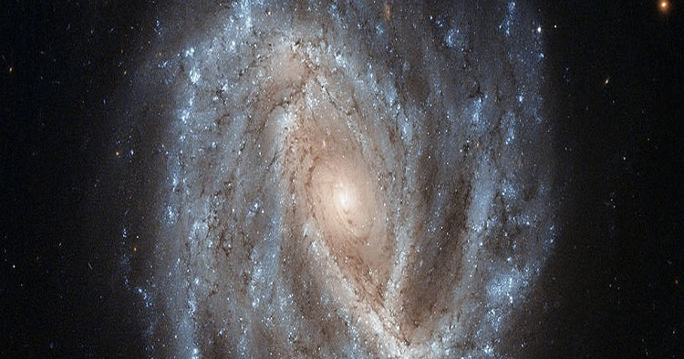 ROLscience: Página 342 de 365: NGC 2441