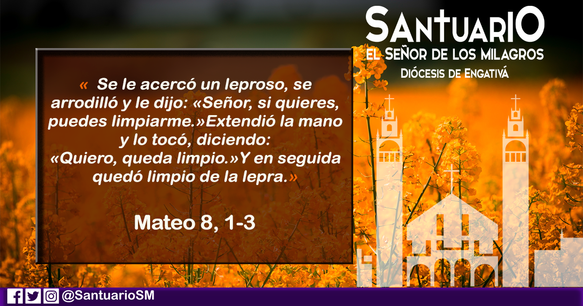 LITURGIA DEL DIA: LECTURAS DEL DÍA VIERNES 30 JUNIO 2017