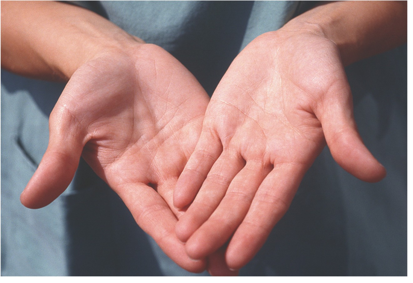 Medice Cura Te Ipsum: POEMARIO: TUS MANOS