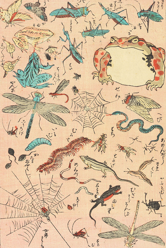 DESIGN and ART MAGAZINE: Vincent Van Gogh: The Artist as Collector