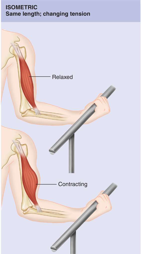 WHAT ARE ISOMETRICS?