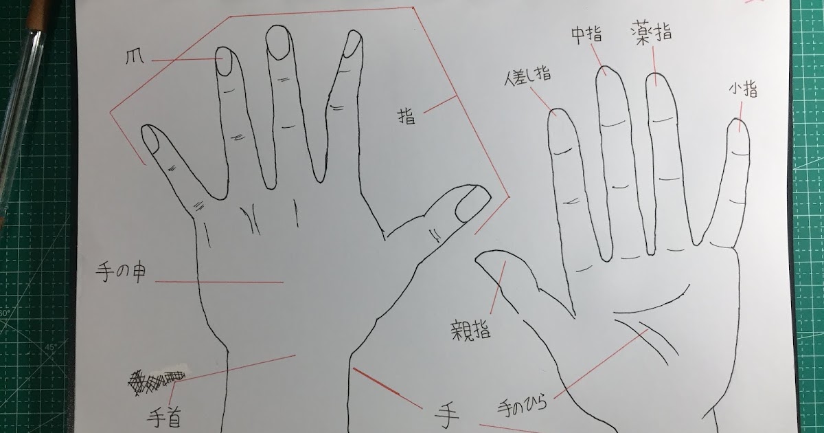 Learn Japanese Language : Hand