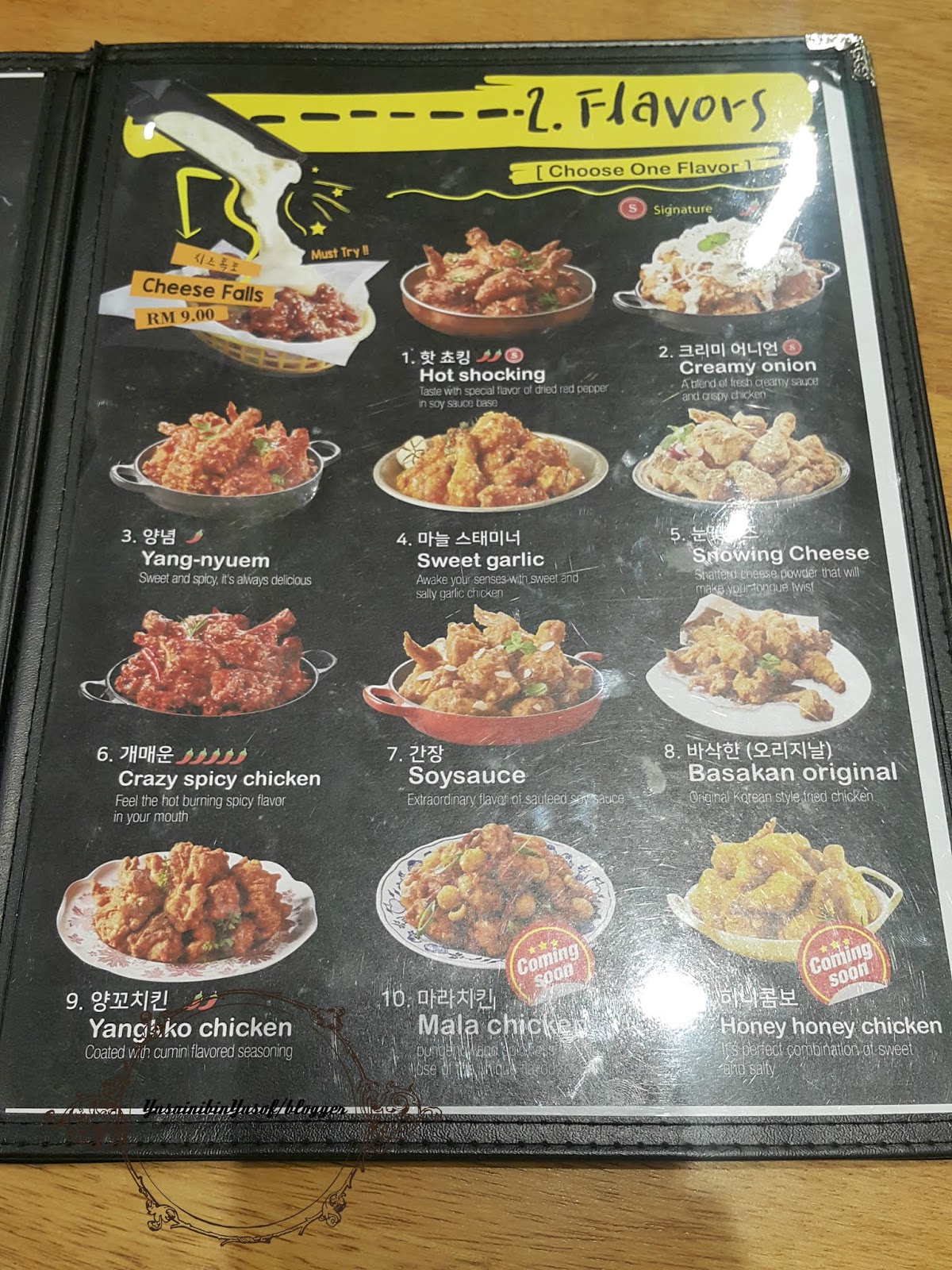 YUSAINIBINYUSOF: CHICKEN PLUS