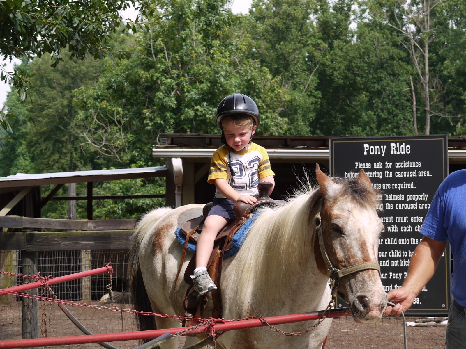 Sevin Family Stories: Brave Little Cowboy