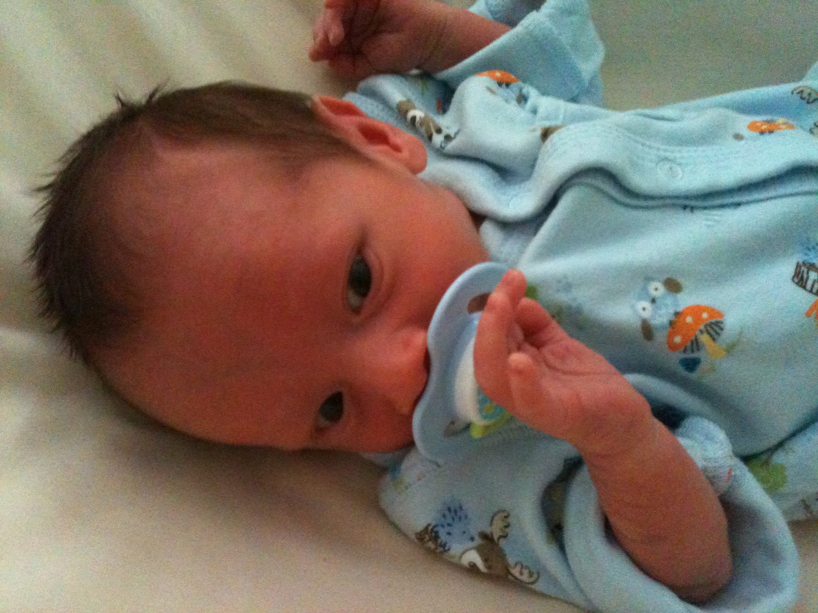 Introducing.... Carter! a.k.a "Baby B" - My Mini Adventurer