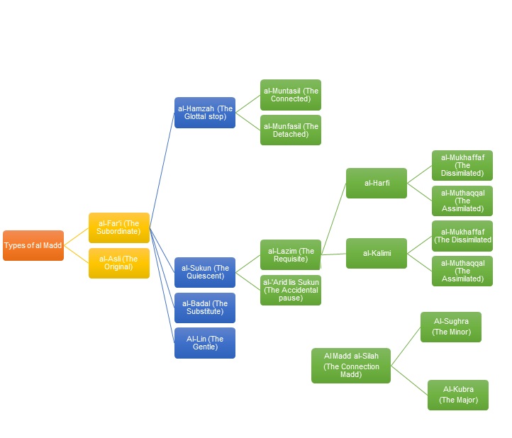 Types of madd | Learn Arabic Amman