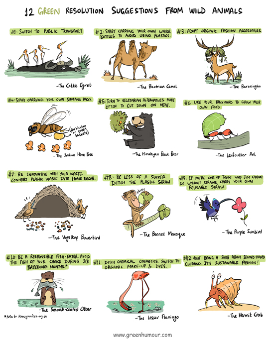 Green Humour: 12 Green Resolution Suggestions from Wild Animals
