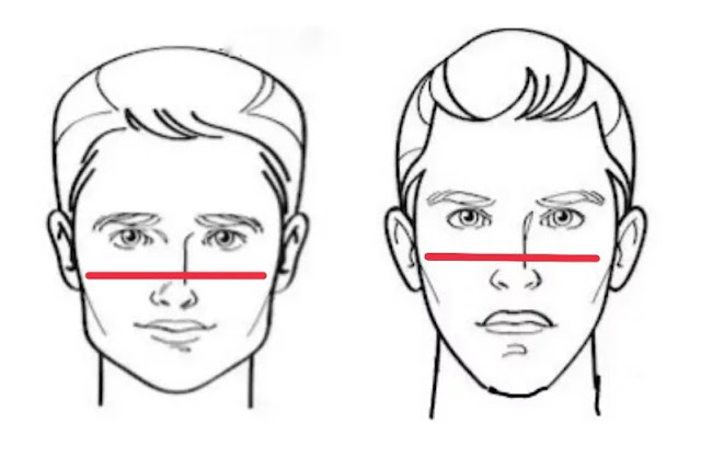 Identify your face shape | Face shape calculator male. - TIPTOPGENTS