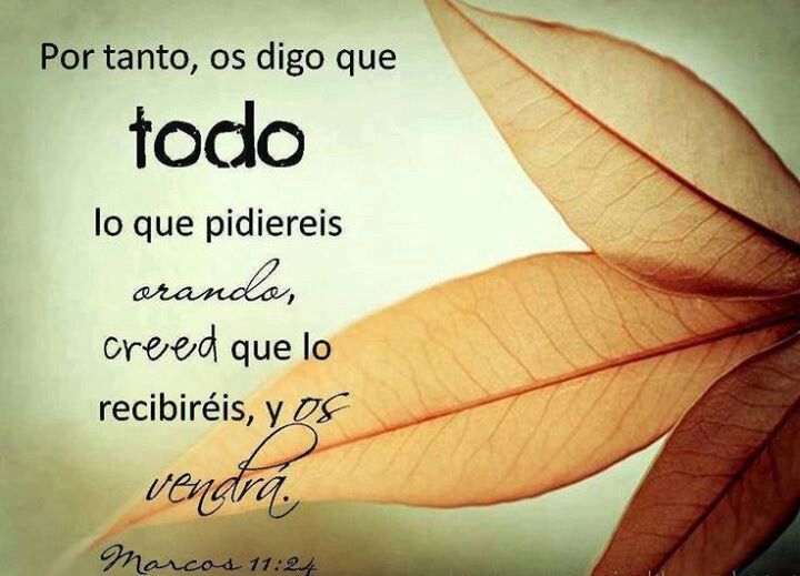 YO SOY TU... PROVEEDOR