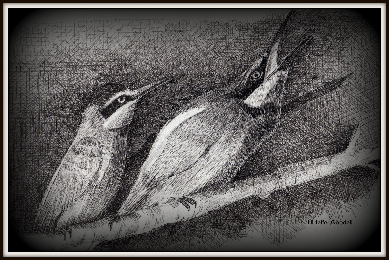 Studio Muses: Pen and Ink Part III Techniques