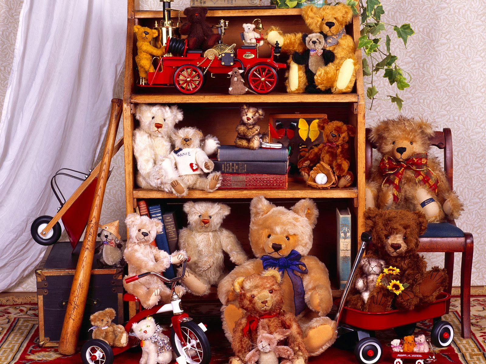 Teddy Collection
