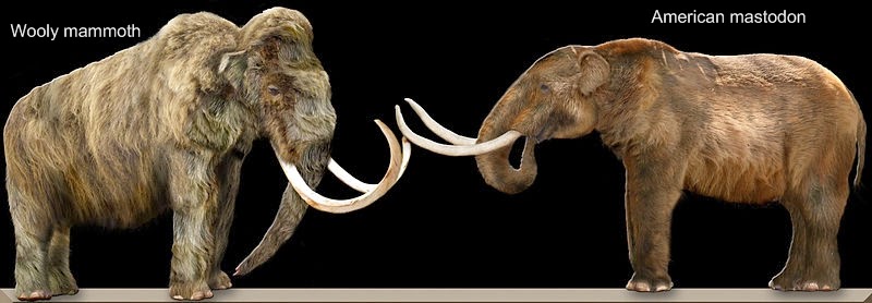 History of the Earth: December 25. Quaternary Megafauna Extinctions