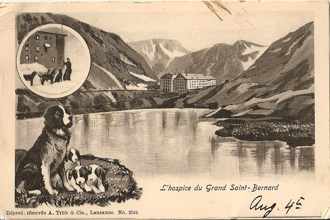 WILD(er) About Reading: Barry the Saint Bernard - Hero Dog Saves Over ...