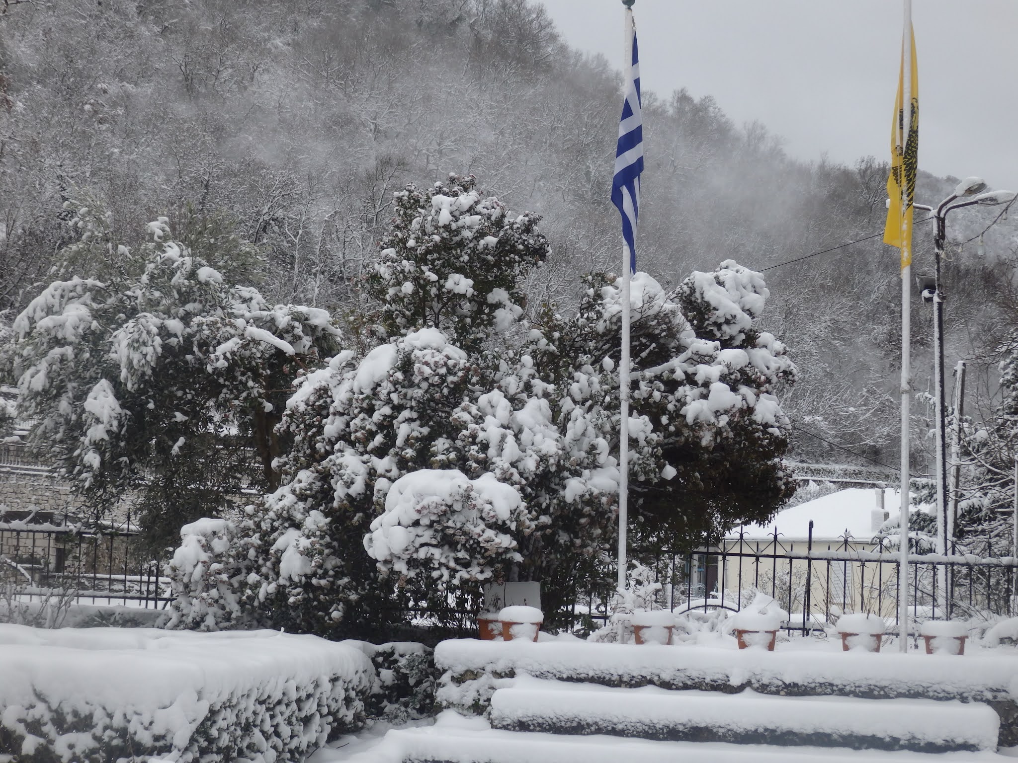 Μένουμε ... Δελβινάκι : "Μήδεια"...και άλλη συνέχεια