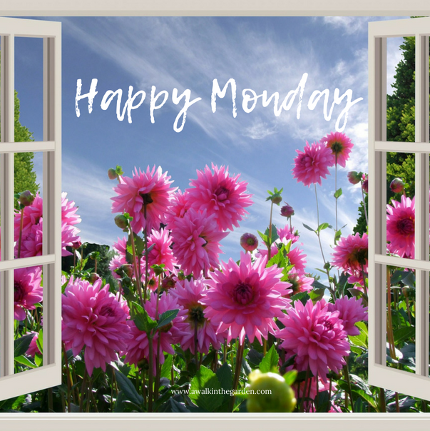 A Walk In The Garden: Happy Monday Greetings