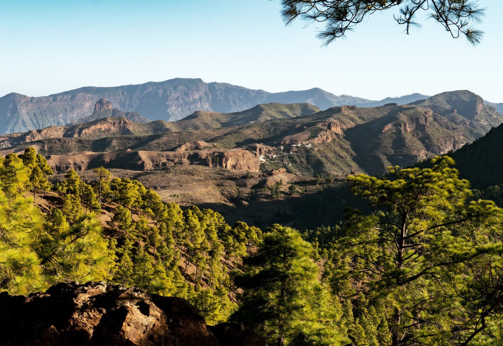 Wandern auf Gran Canaria – Von El Juncal ins Naturschutzgebiet Pajonales