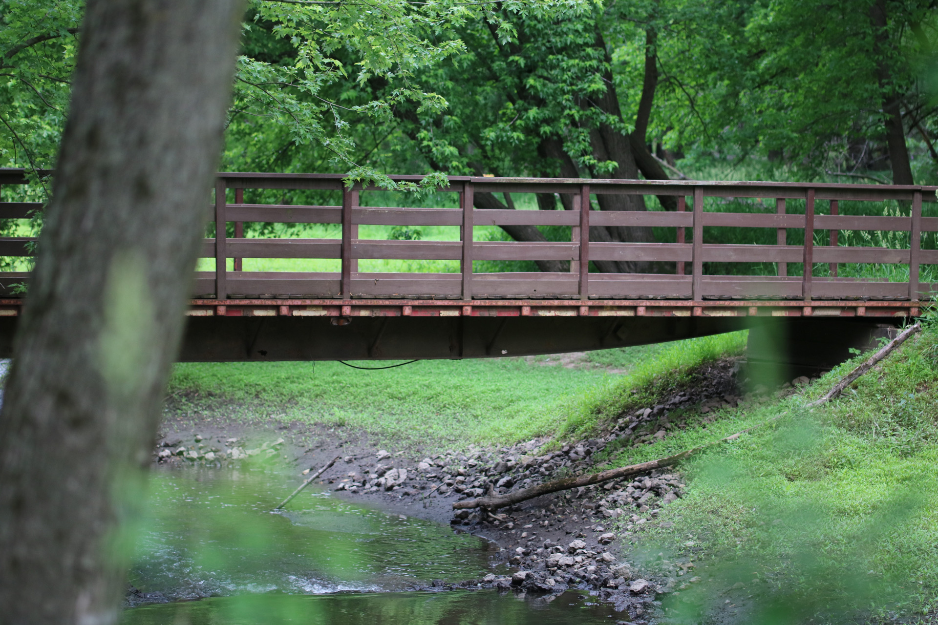 100 Happiness Hikes: Hike #25 Popple Nature Area Reedsburg