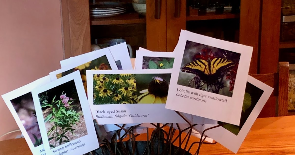 Pollinator-friendly plant labels ready