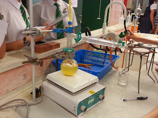 Green Chemistry: Extraction of D-Limonene from orange peel