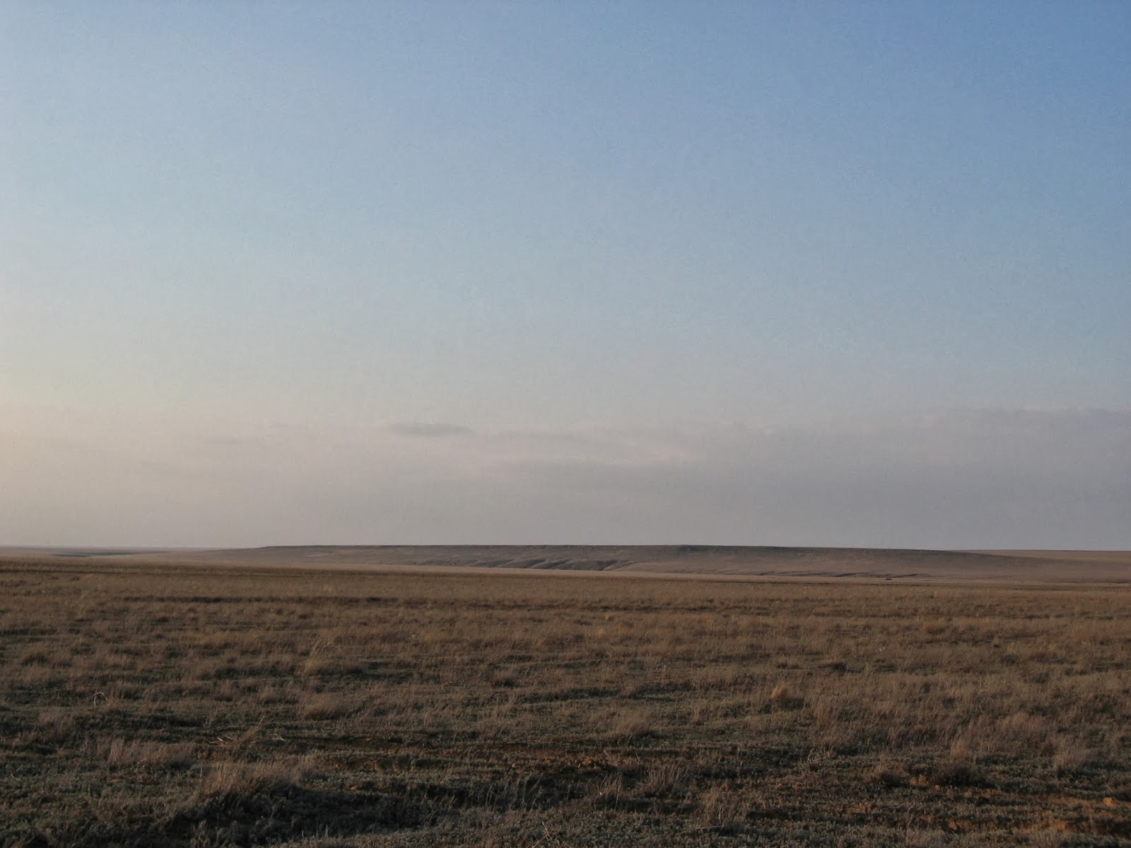 LA IMPORTANCIA DE LAS REGIONES Y LOS RECURSOS NATURALES: Estepa