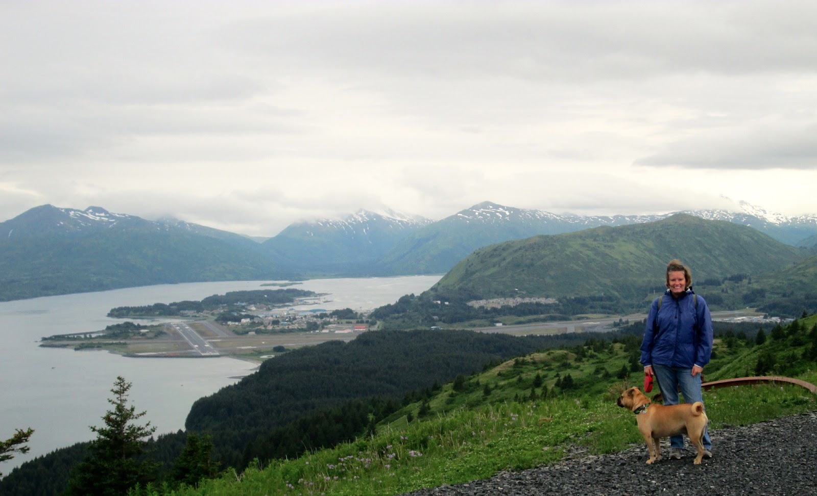 A Grand Adventure: Here a Pushki, There a Pushki, Everywhere a Pushki