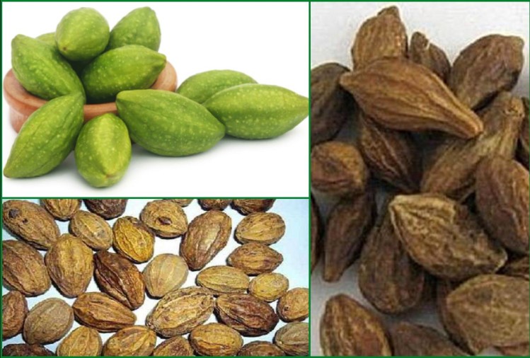 Harad powder ke fayde in hindi | हरीतकी के फायदे और नुकसान - Health ...