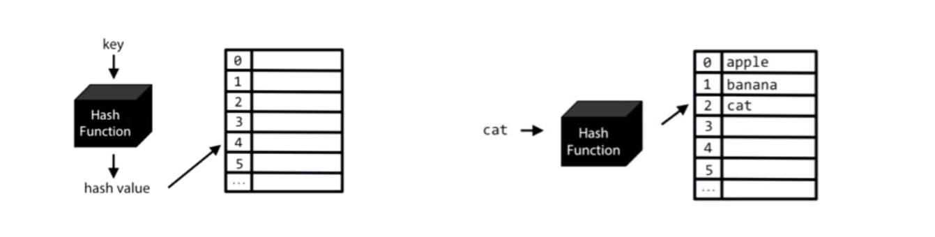 Hash Table and Binary Trees