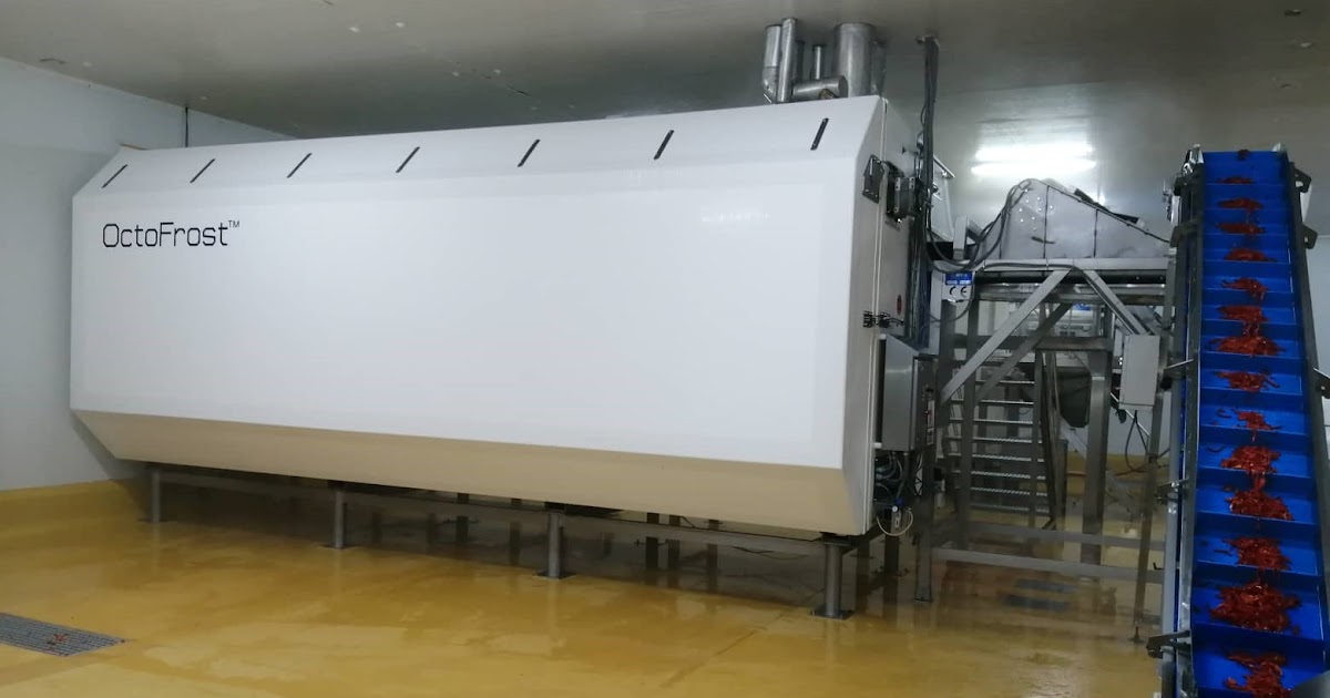 PRINCIPIOS TERMODINÁMICOS APLICADOS EN TÚNEL OCTOFROST DE CONGELACIÓN IQF (INDIVIDUAL QUICK FROZEN)