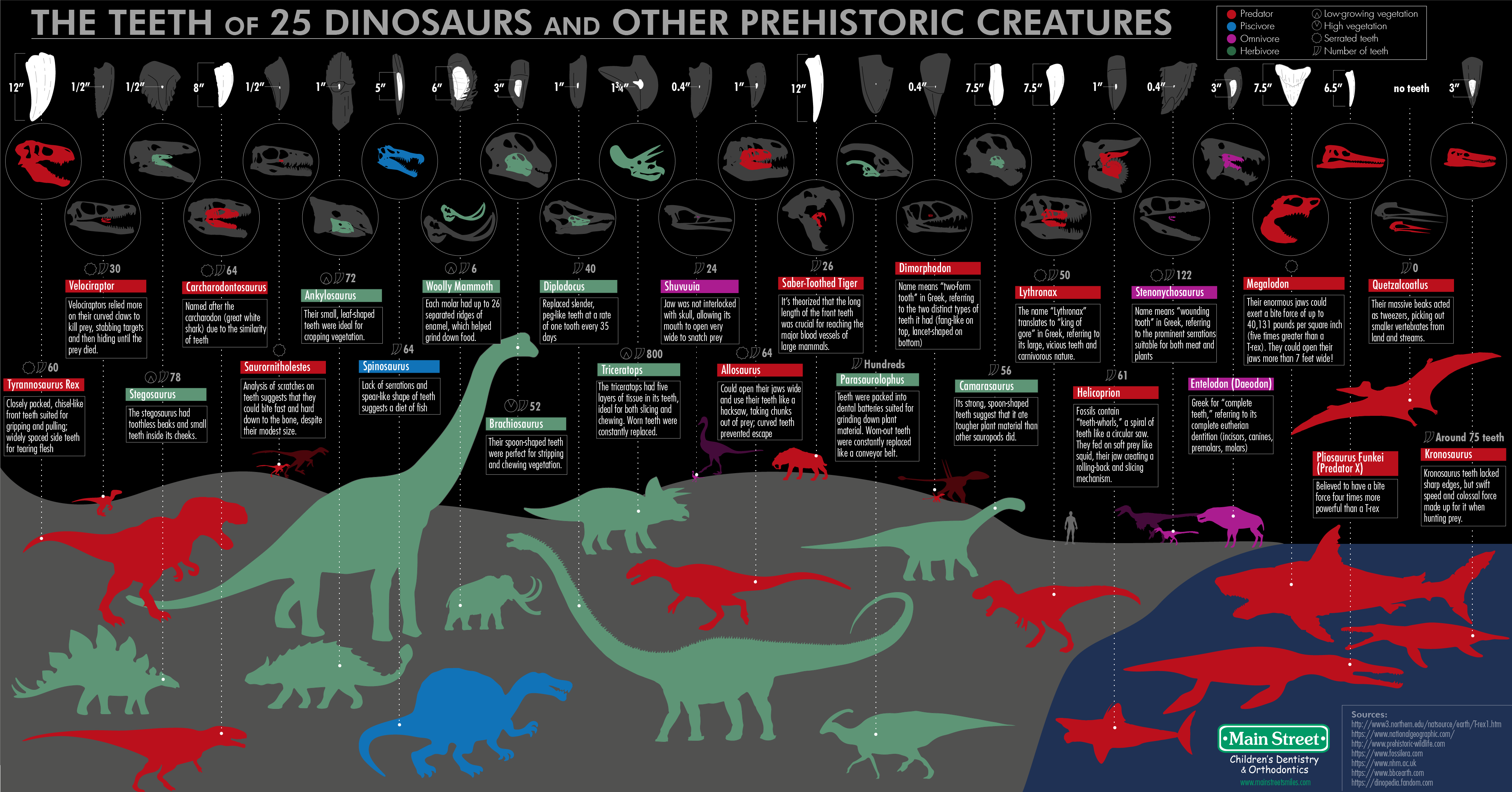The Teeth of 25 Dinosaurs and Other Prehistoric Creatures #infographic ...
