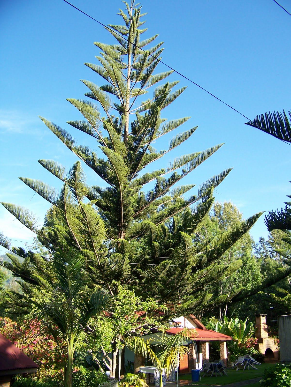 KAZI YAKO NI JINA LAKO: MULLERS MOUNTAIN LODGE - LUSHOTO -TANGA - TANZANIA.