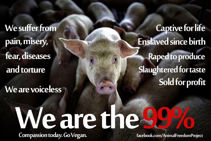 We're All Animals: We'll Never Forget the Animals!