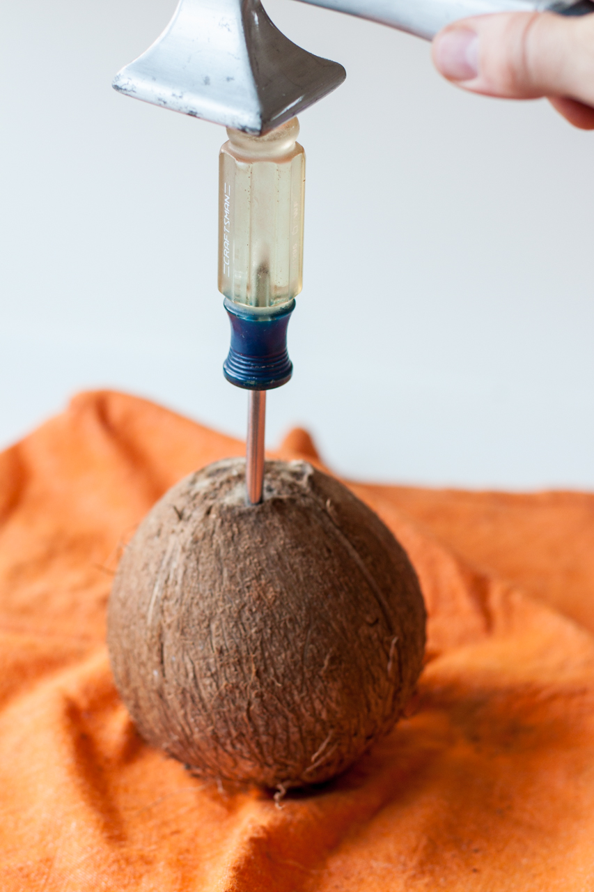 Mama Tommy's: How to Crack a Coconut Perfectly in Half [Zack]