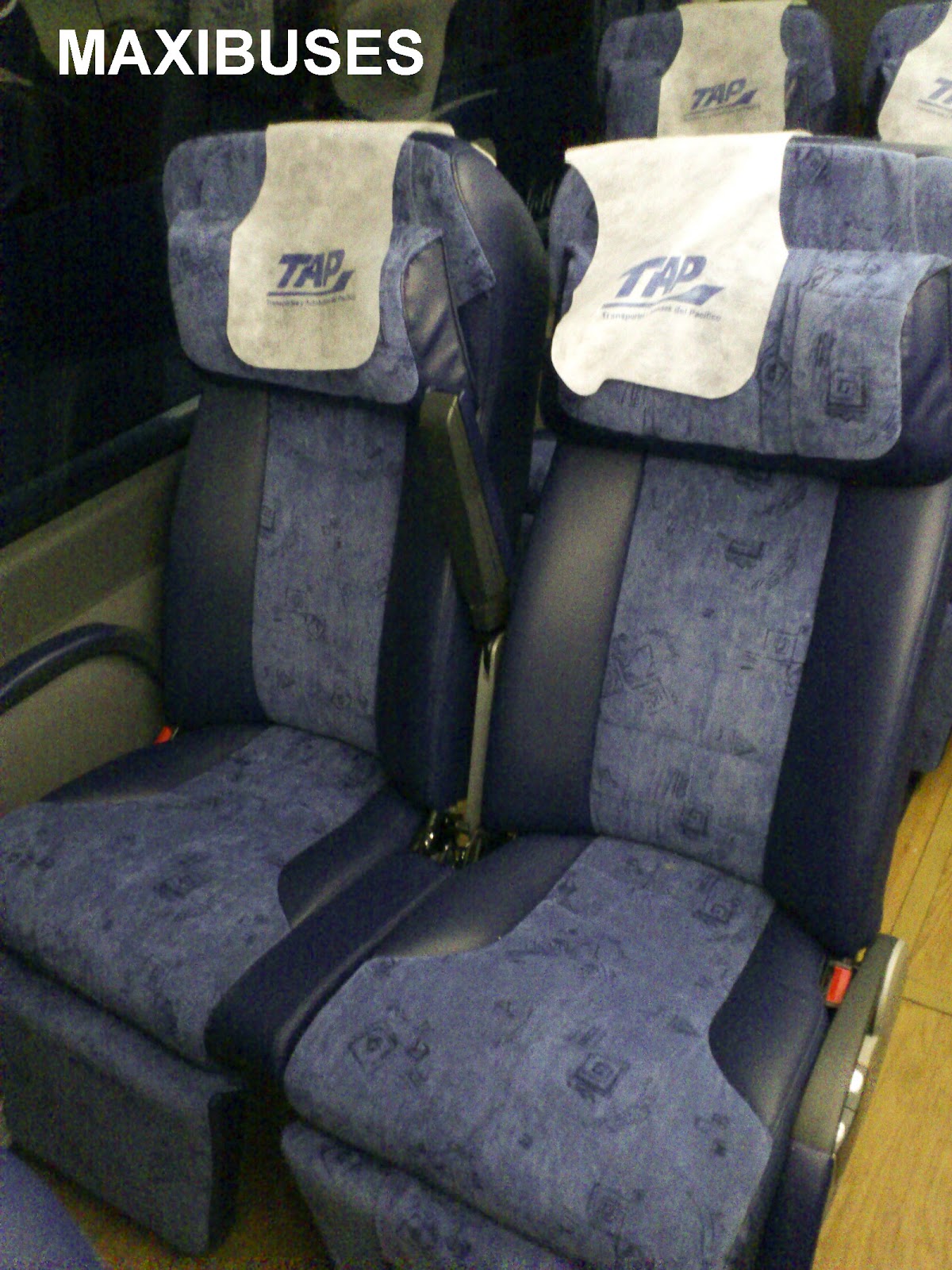 MAXIBUSES: TRANSPORTES Y AUTOBUSES DEL PACÍFICO, CONFORT (TAP CONFORT)