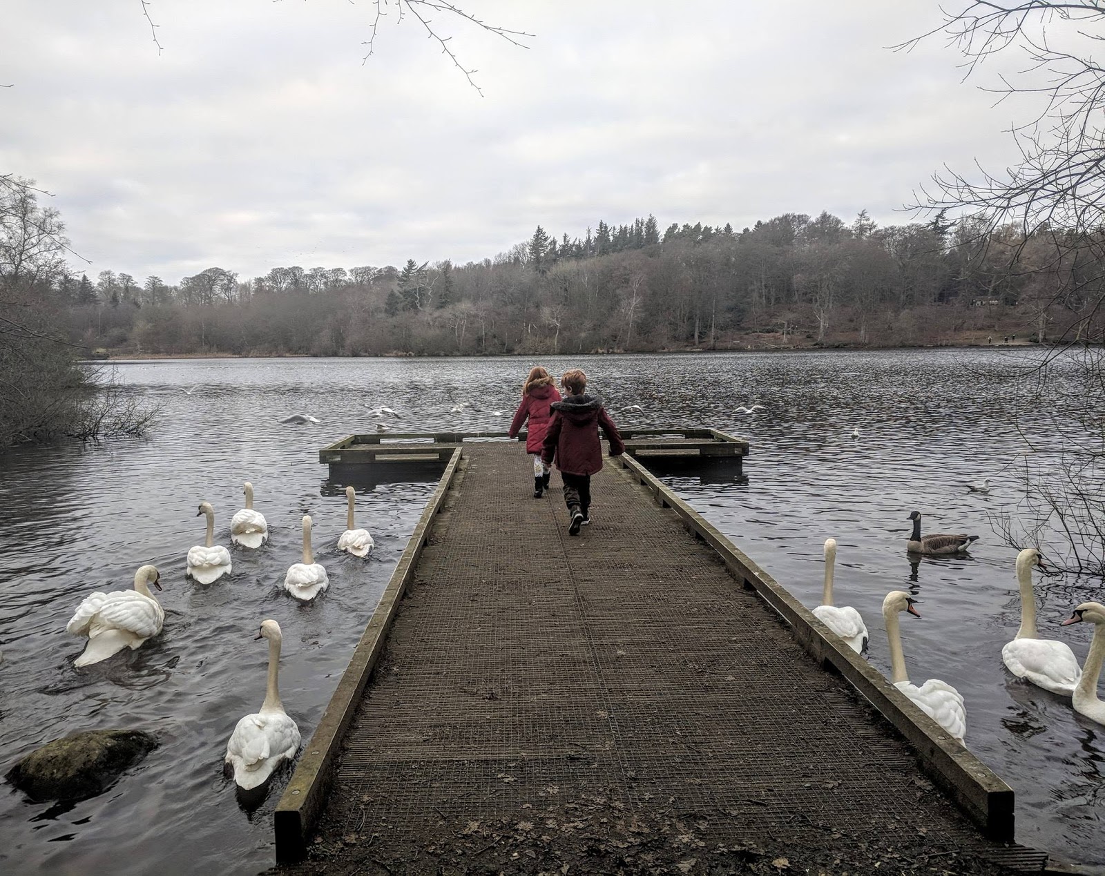 A Guide to Visiting Bolam Lake, Northumberland | North East Family Fun