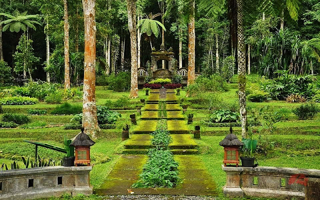 Bedugul Botanic Garden Bali, a Family Travel Destination on the Island ...