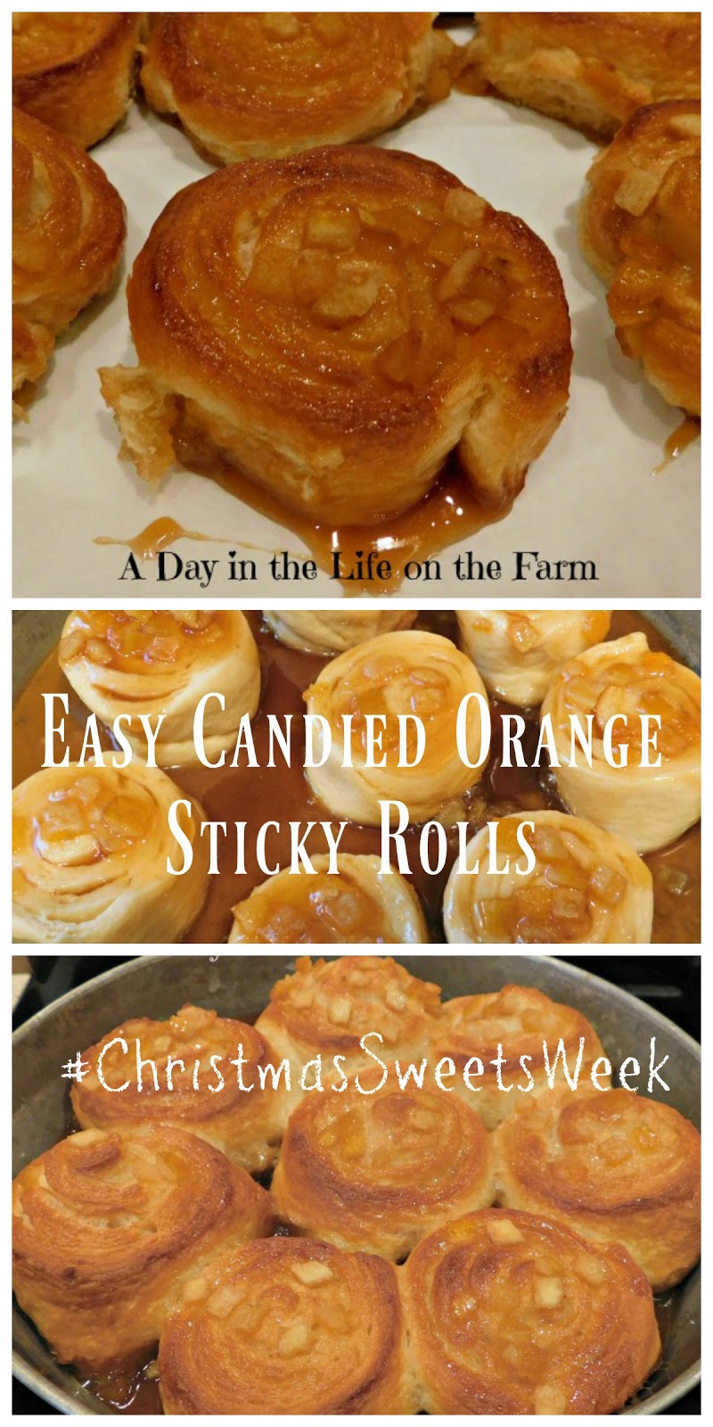 A Day in the Life on the Farm: Easy Candied Orange Peel Sticky Rolls # ...