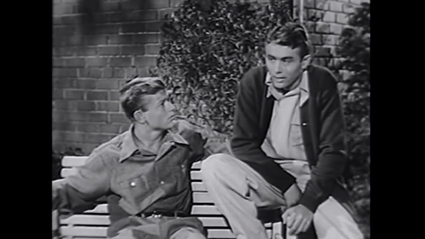 Cultureshark: Summer of Angst: The Trouble with Father