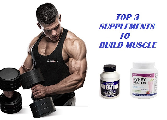 Muscle Palace: The 3 Best Muscle Building Supplements - The Only ...