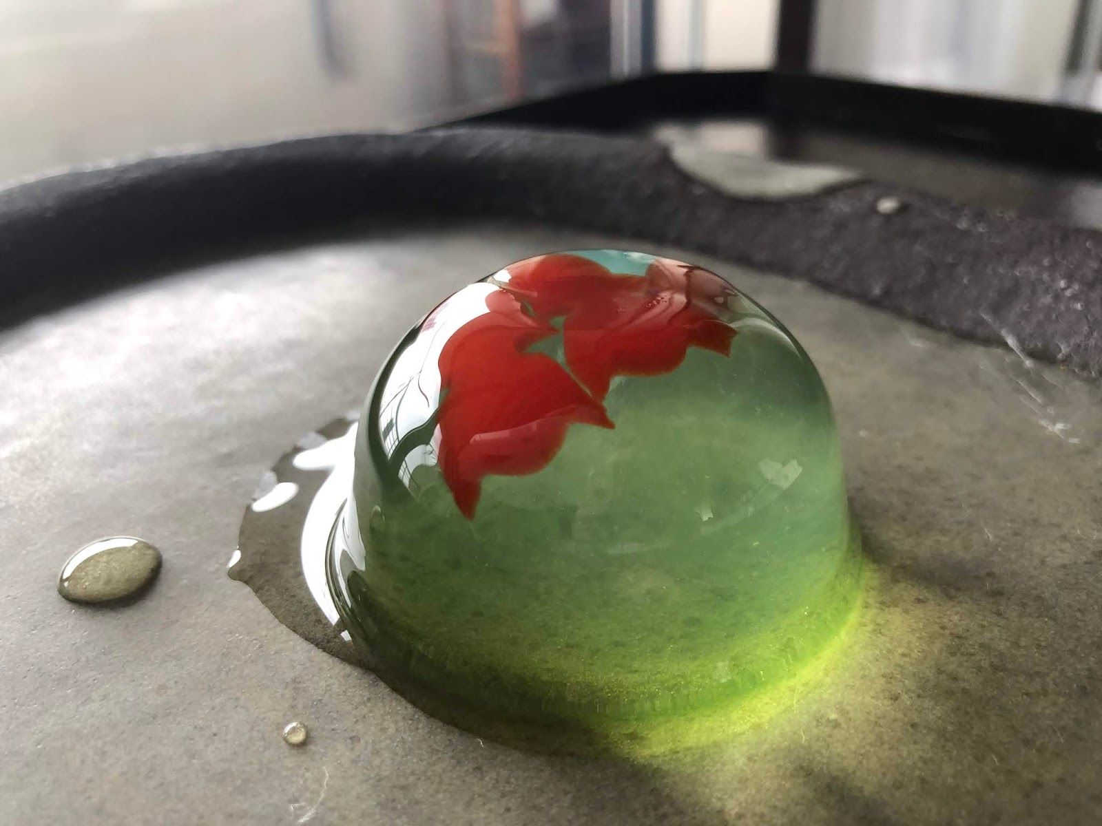 Plants and Flowers in Tokyo by Kei Narujima 東京の草花 - なるじまけい: Japanese ...