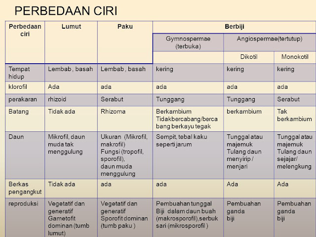 Materi Lengkap Kingdom Plantae Tumbuhan Terbaru Generasi Biologi Riset