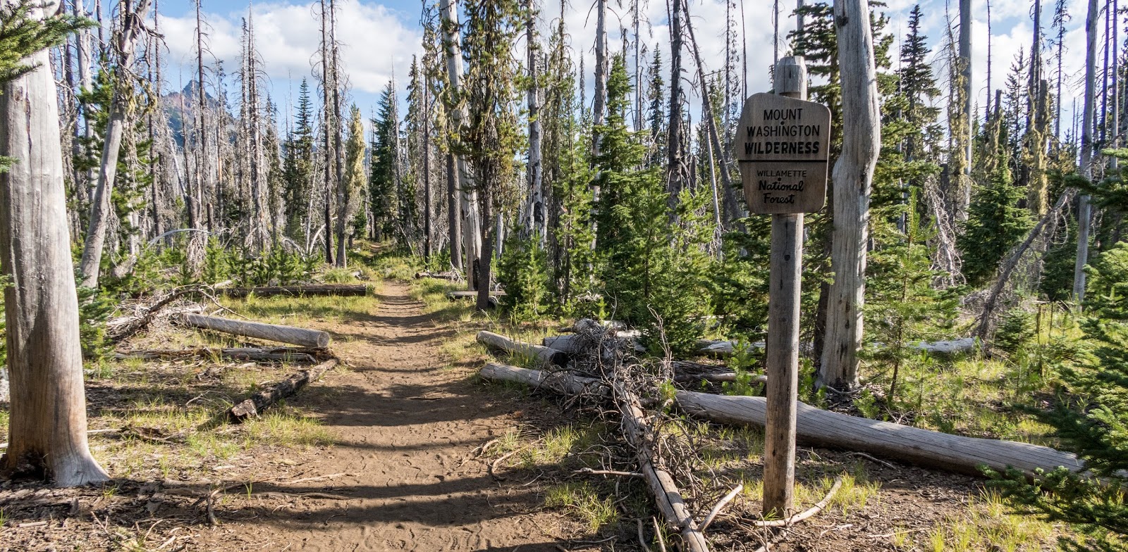 Eric's Hikes: Pacific Crest Trail: Santiam Pass to South Matthieu Lake