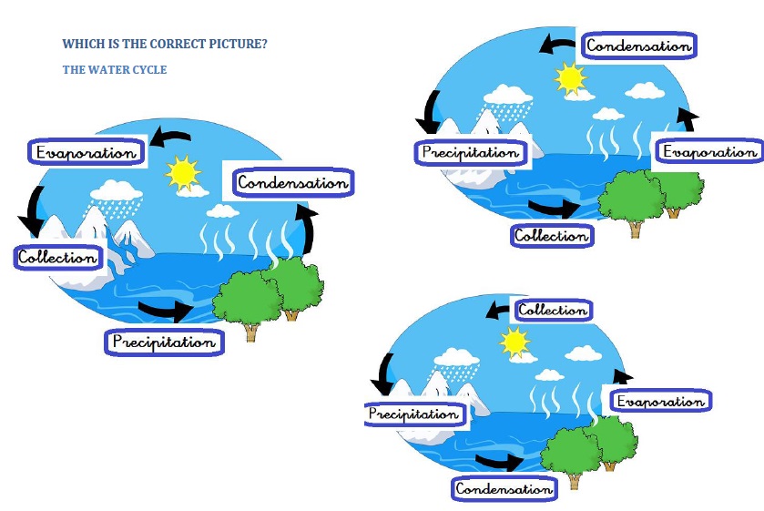 Seneca School - Year 1-2 - Science / English: SS - Air & Water - Activities