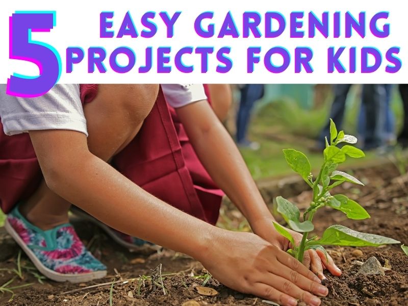 Mommy Suburbia: 5 Easy Spring Gardening Projects For Kids