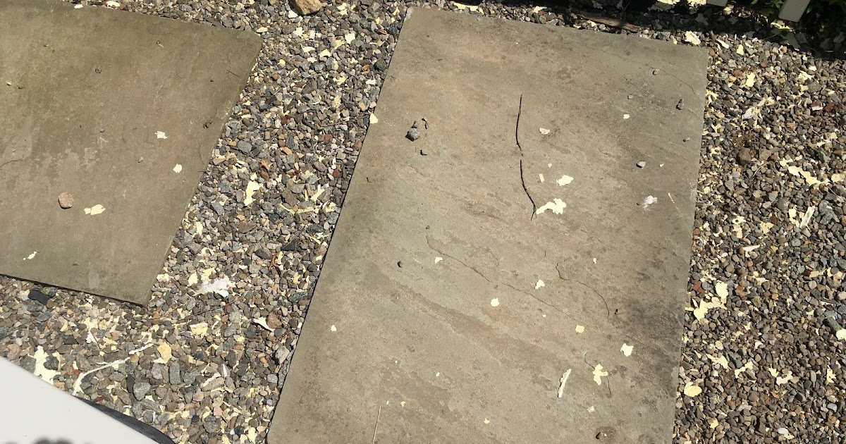 In the Little Yellow House: Garden Redo Project: Pathways